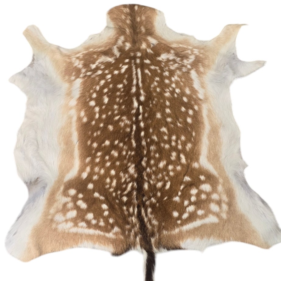 Fallow Deer Hide Rug | SLAB Designs